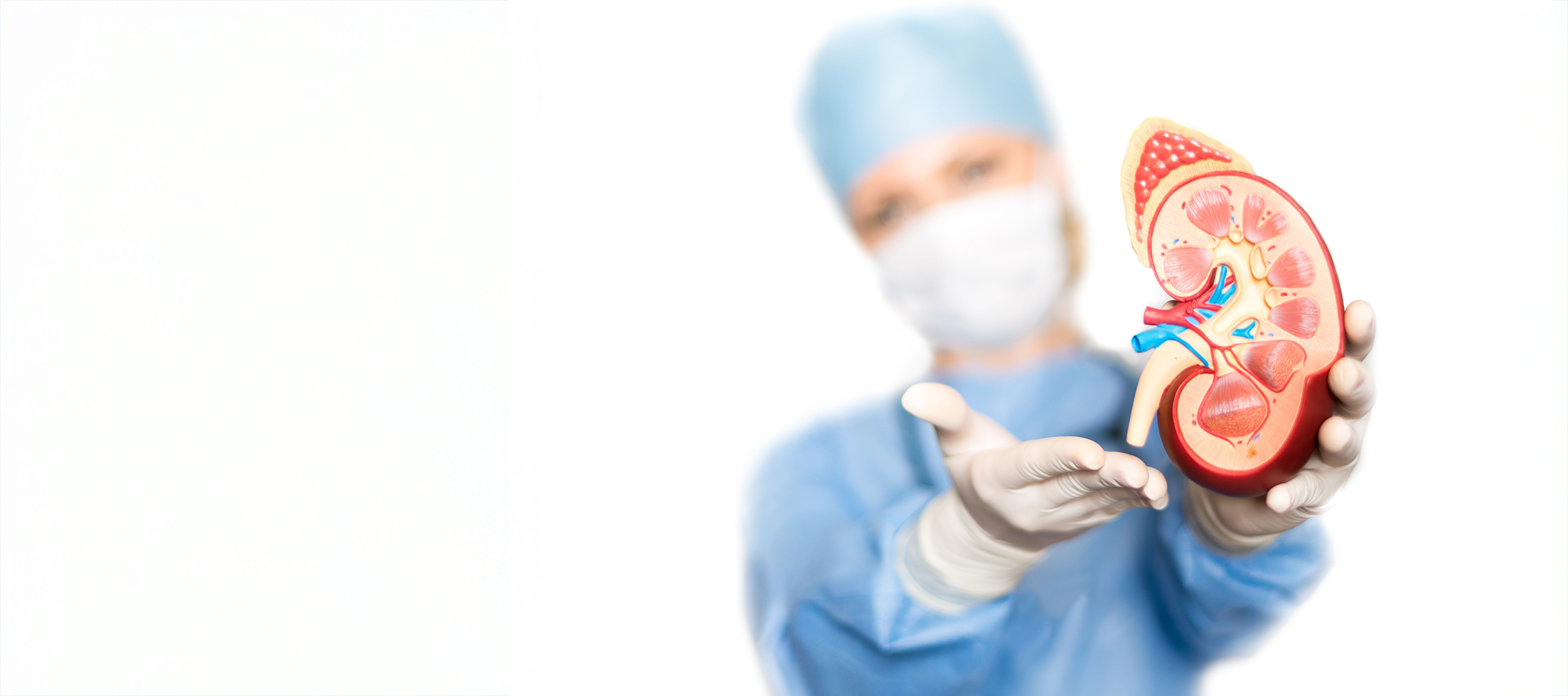 IDS Medical Systems | Products - Nephrology