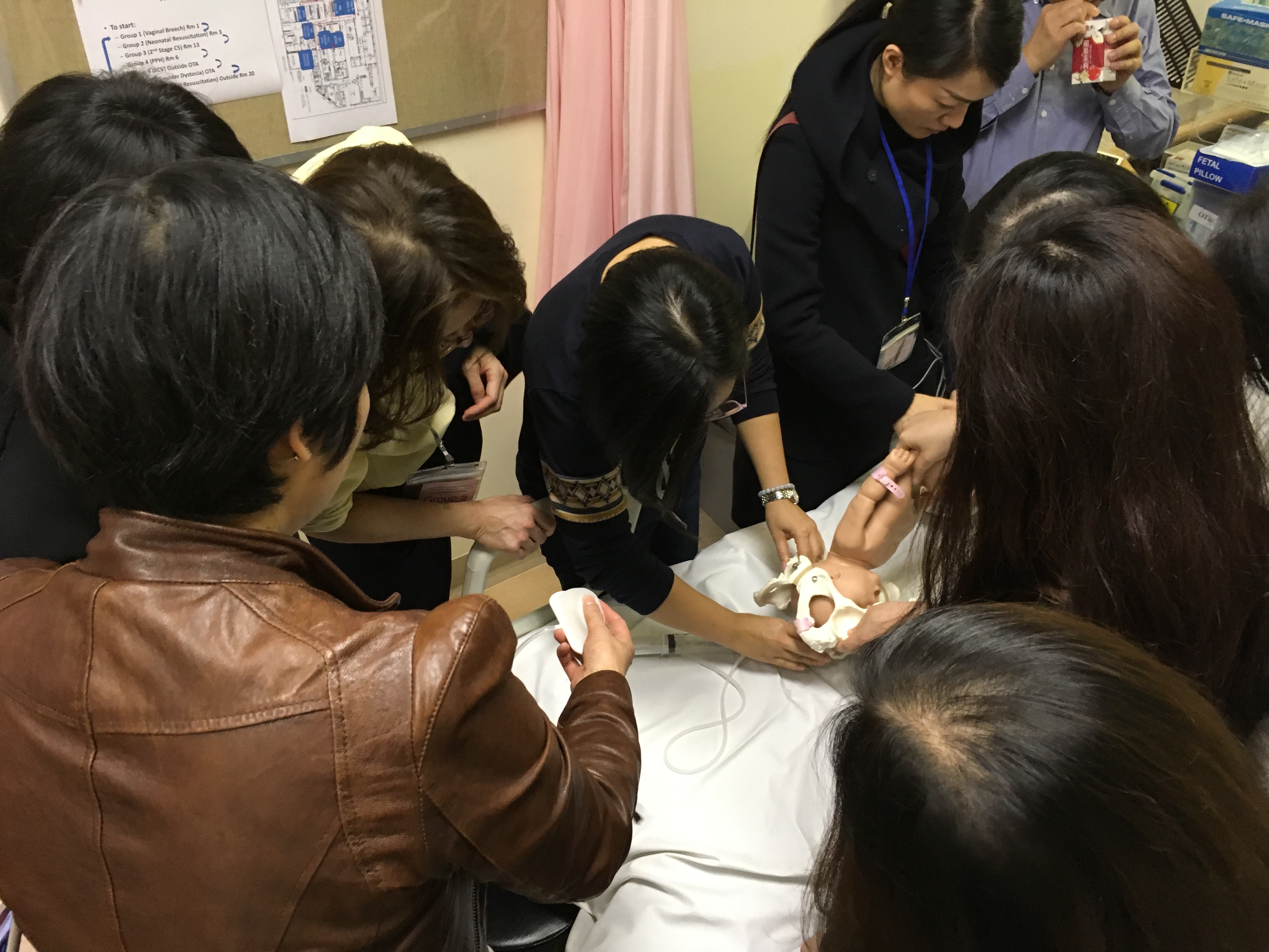 Professional Training Course on Safe Practice in Obstetric E...