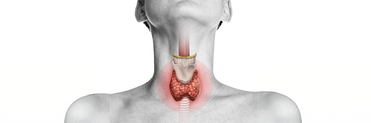 Thyroid health and its impact on weight, mood, and energy